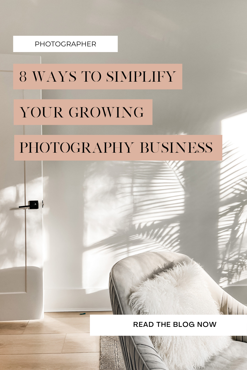 8 Ways To Simplify Your Growing Photography Business